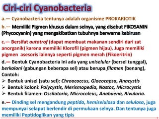 Monera cyanobacteria (alga hijau-biru)/Ganggang hijau biru | PPTX