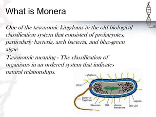 Monera and protista | PPTX