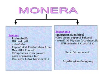 Monera bakteri | PPT