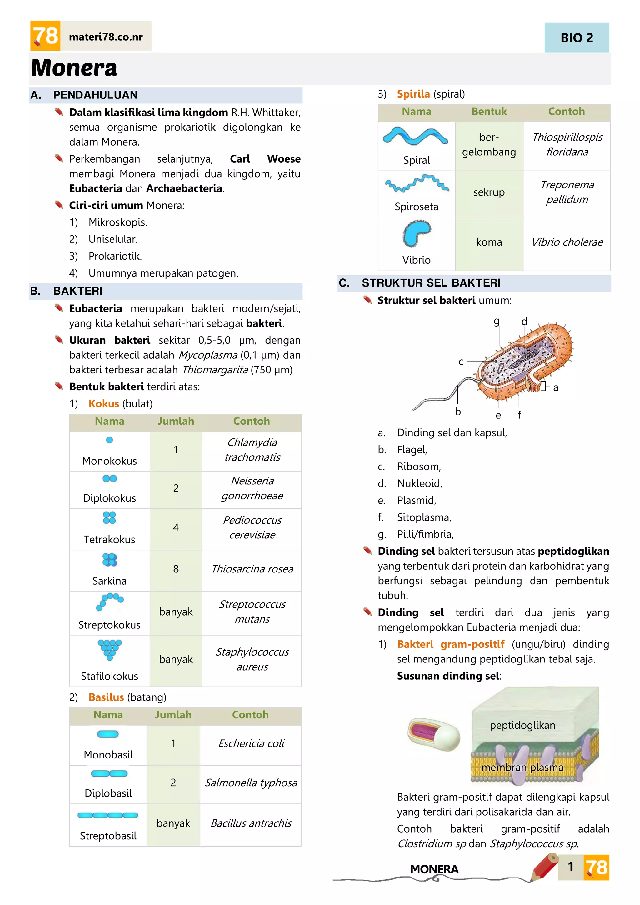 MATERI Monera KELAS X SMA | PDF