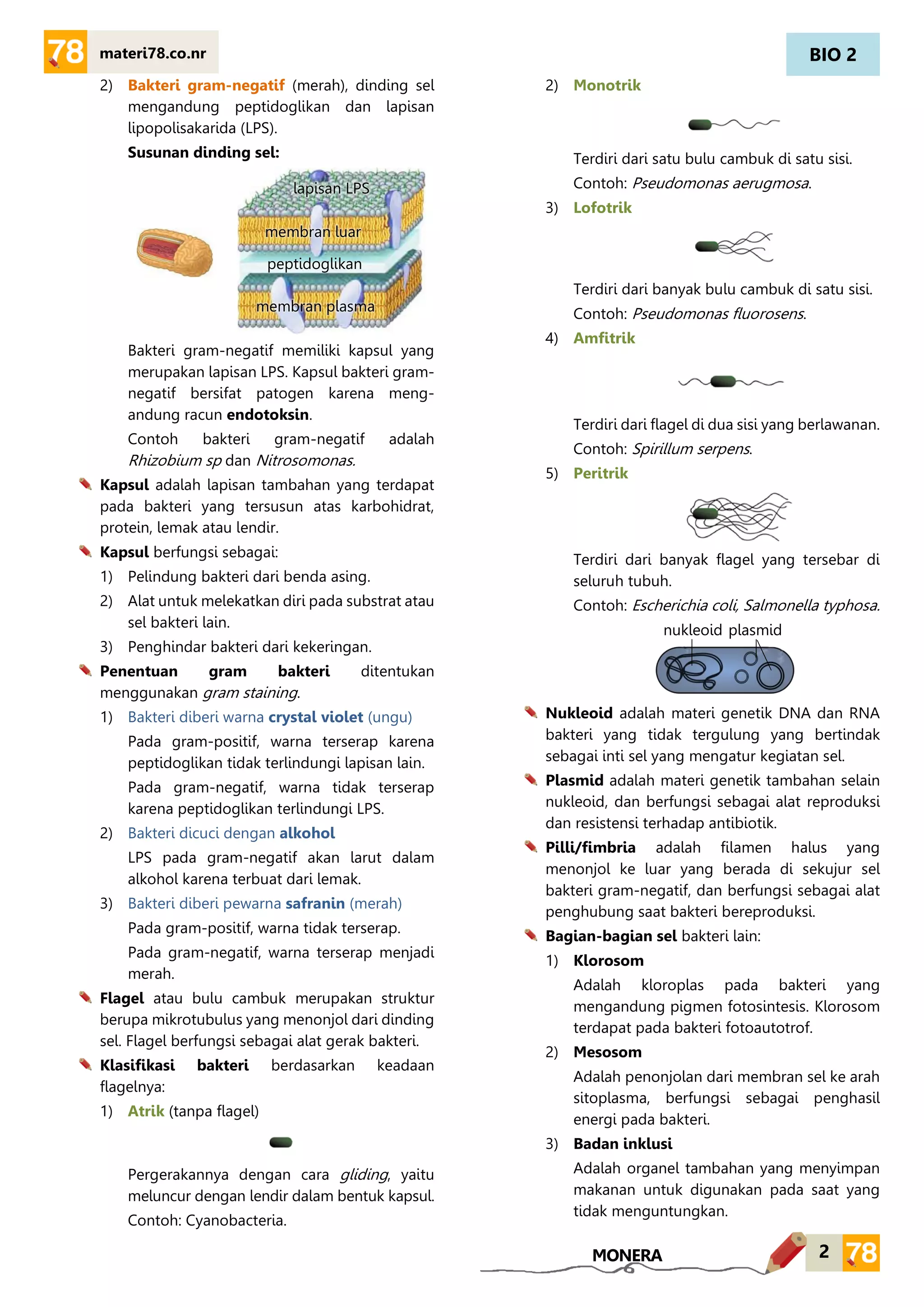 MATERI Monera KELAS X SMA | PDF