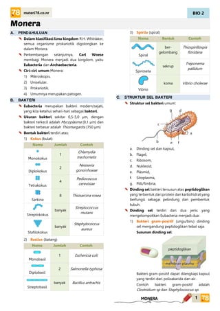 MATERI Monera KELAS X SMA | PDF