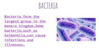 Monera kingdom | PPT