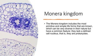Monera kingdom.pptx