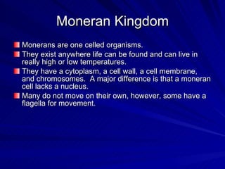 Moneran Kingdom | PPT | Infectious Diseases | Diseases and Conditions