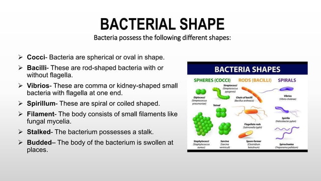 MONERAppt-1.pptx | Free Download