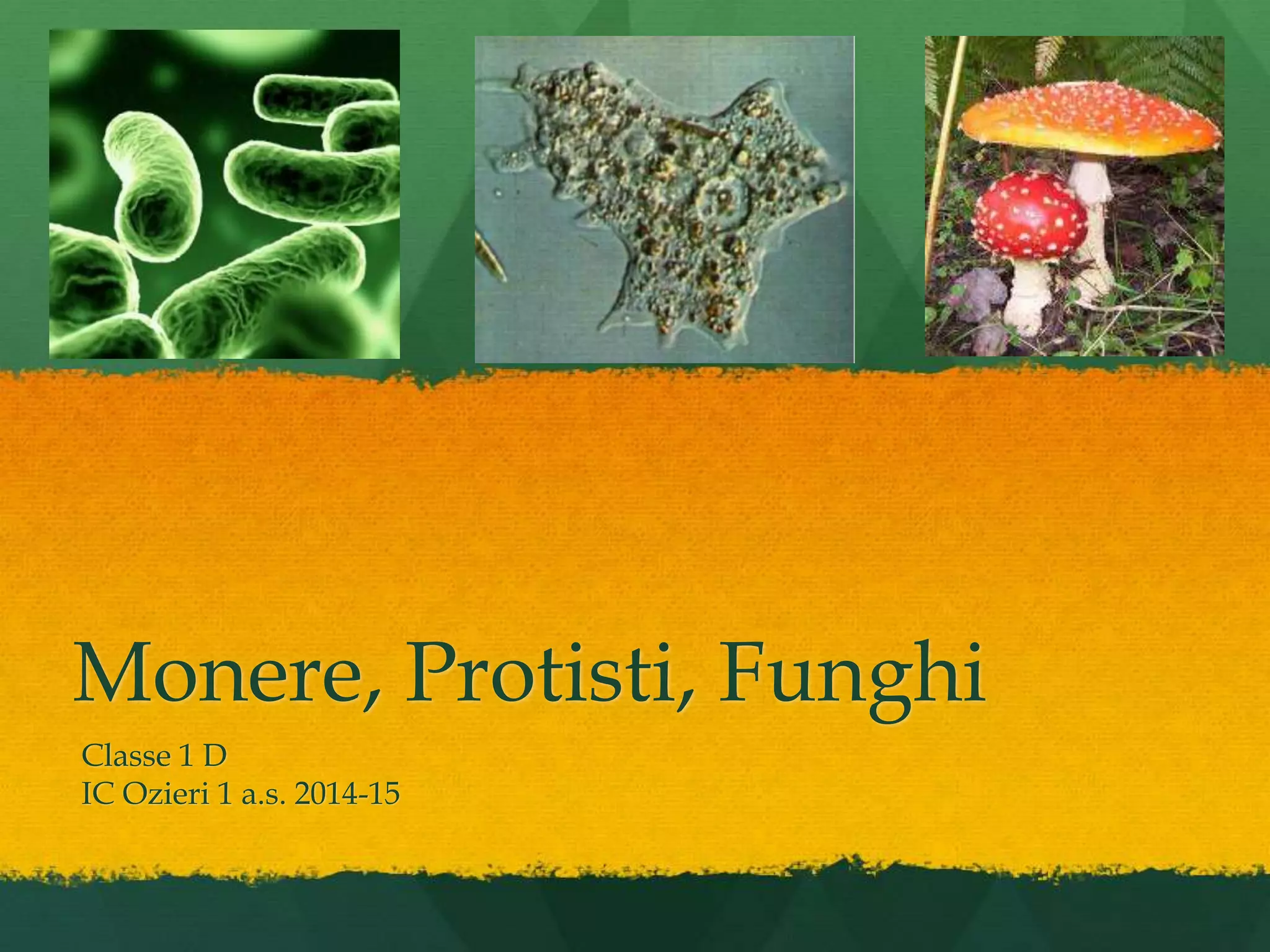 Monere, protisti, funghi | PPT