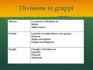Monere, protisti, funghi | PPTX