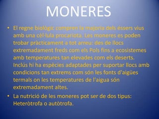 Moneres | PPTX