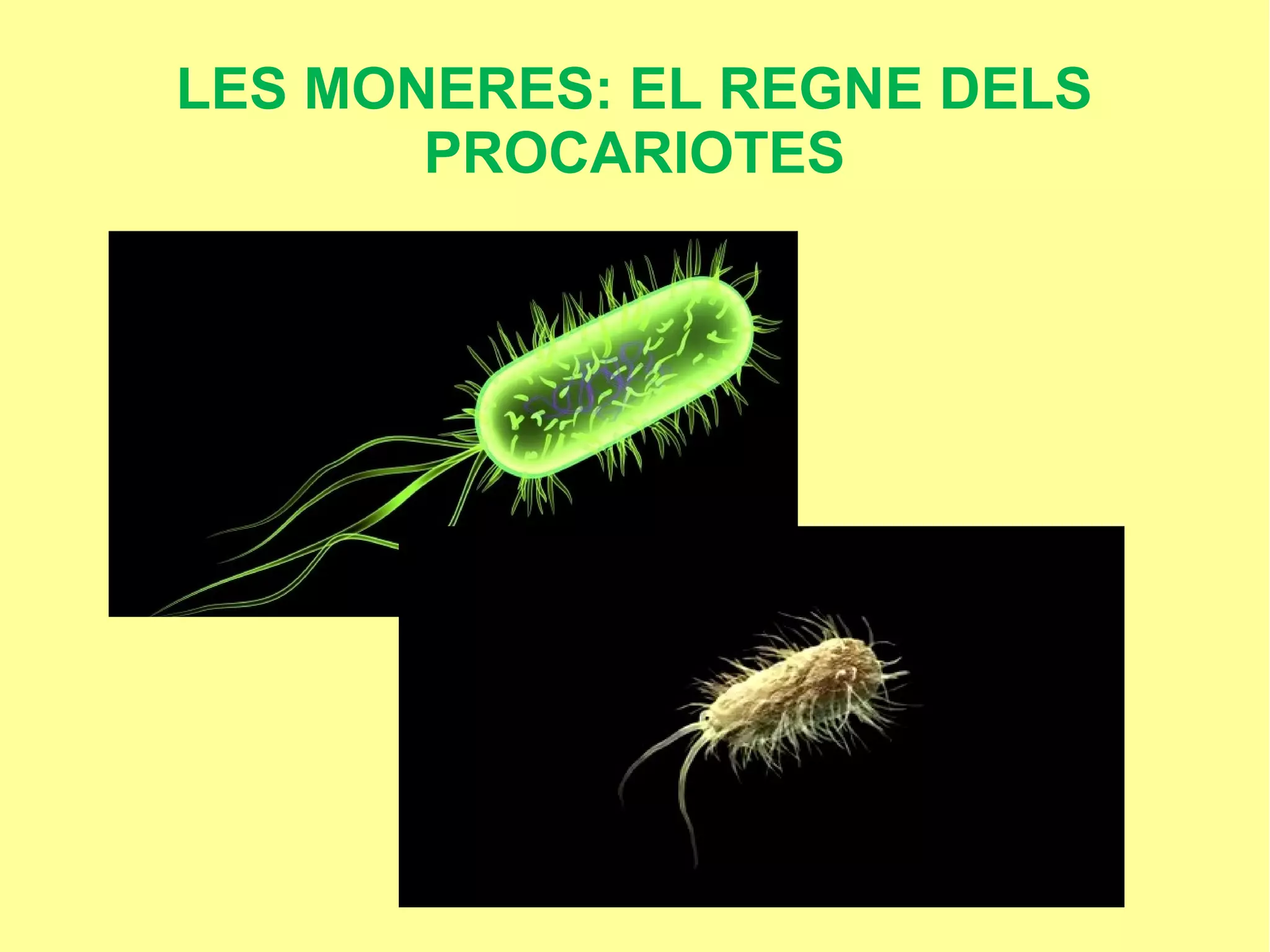Moneres 1 r eso | PPT