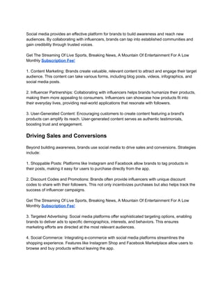 Monetizing Social Media- How Influencers and Brands Make Money Online | PDF