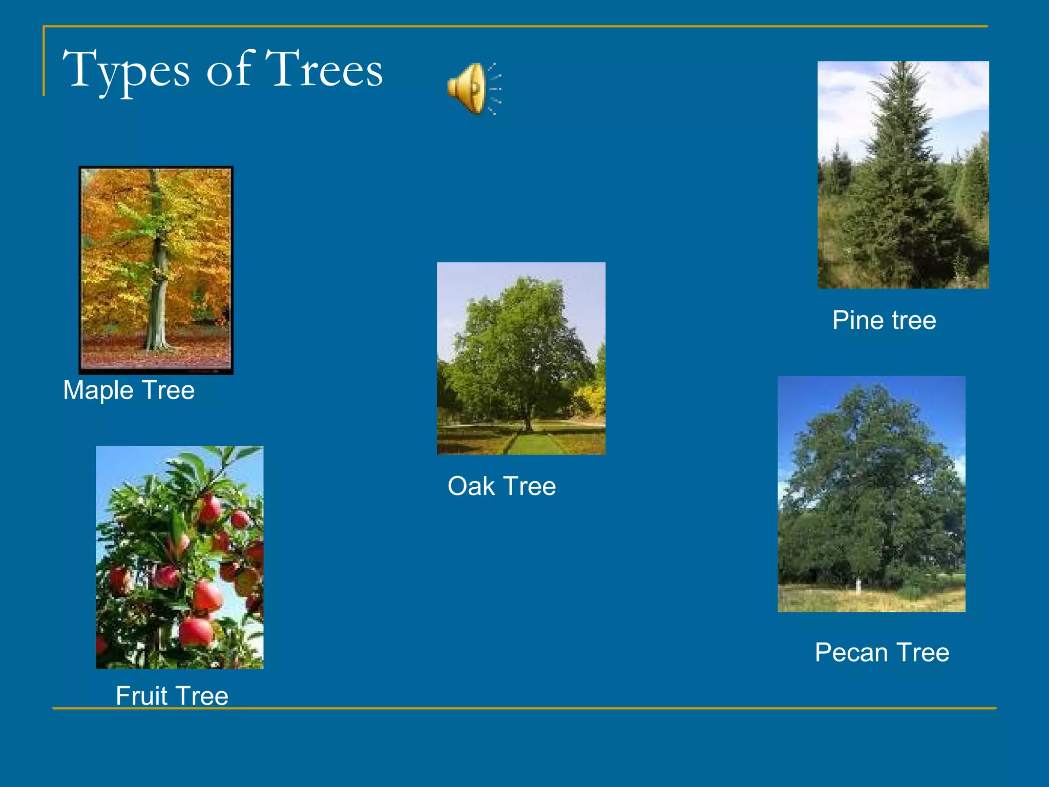 Money Doesn’T Grow On Trees Pp2 | PPT