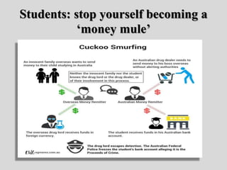 Money Mulling: Student Involvement in Money Laundering Schemes | PPTX