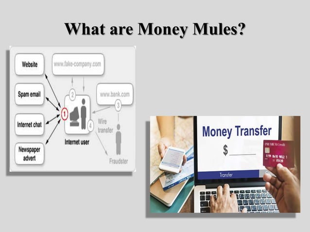 Money Mulling: Student Involvement in Money Laundering Schemes | PPTX