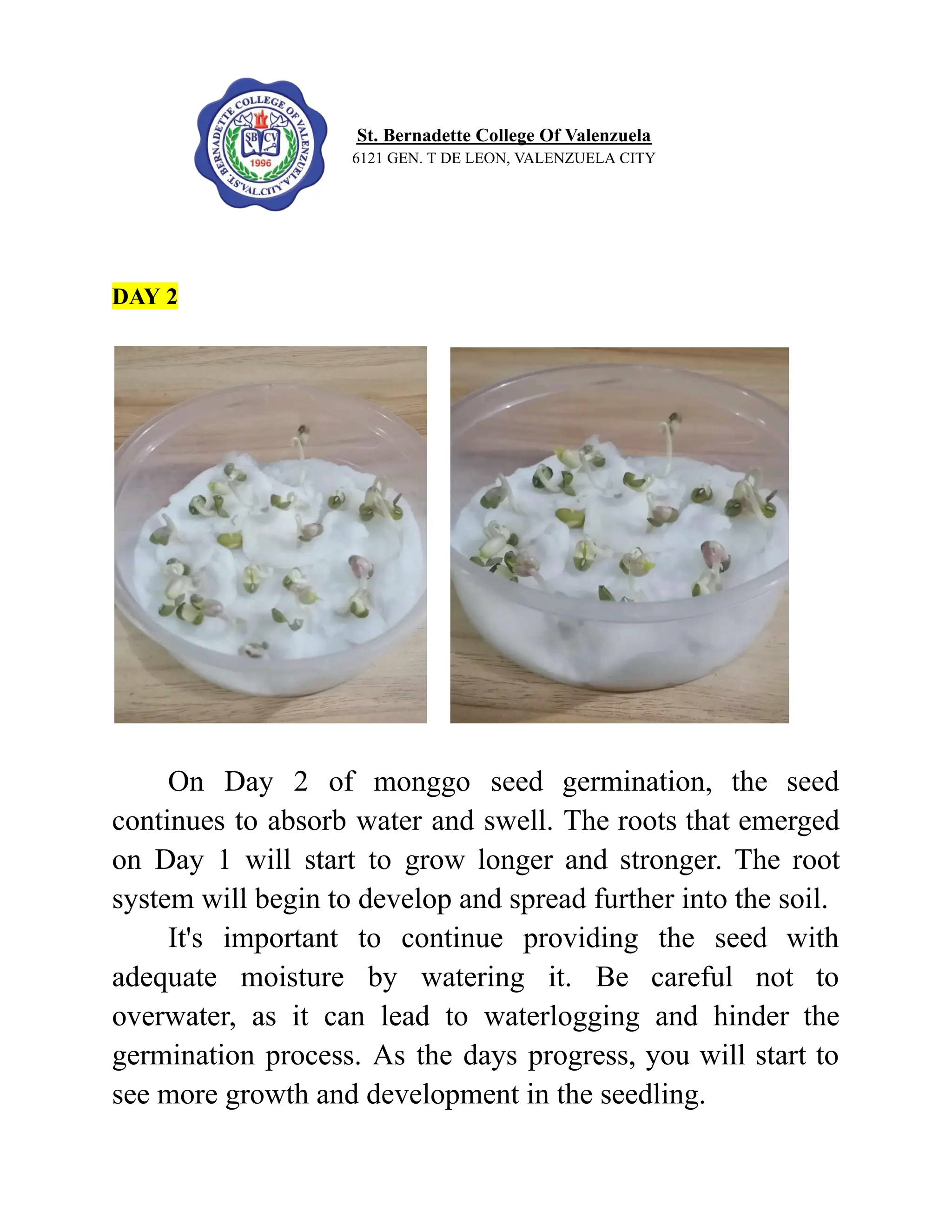 Monggo Seeds Experiment Day 1 to Day 7.pdf