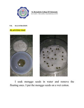 Monggo Seeds Experiment Day 1 to Day 7.pdf