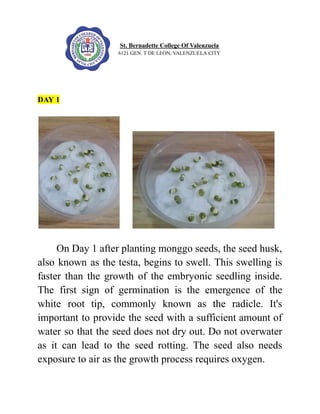 Monggo Seeds Experiment Day 1 to Day 7.pdf