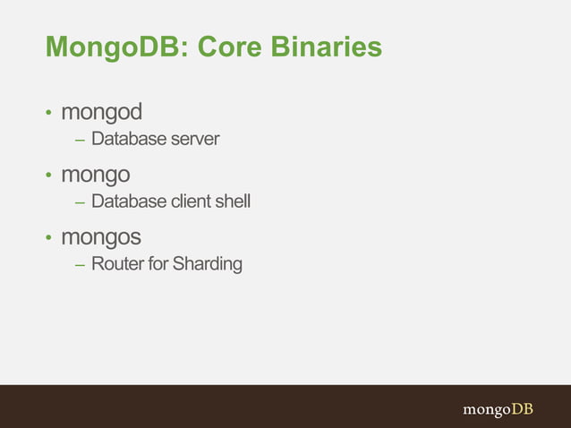 MongoDB Basics | PPT