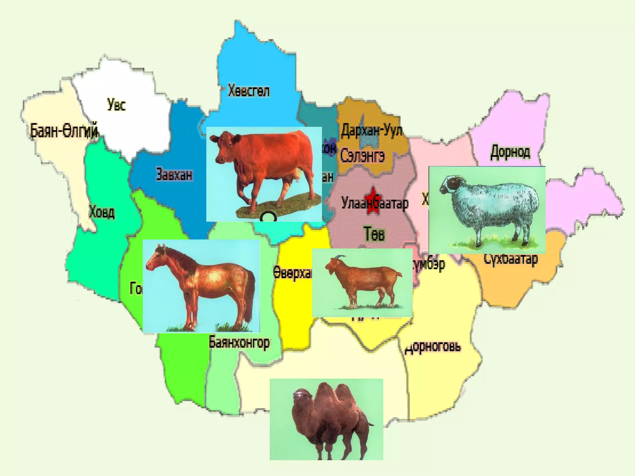 Mongol hel 3 angi tsahim hicheel | ODP