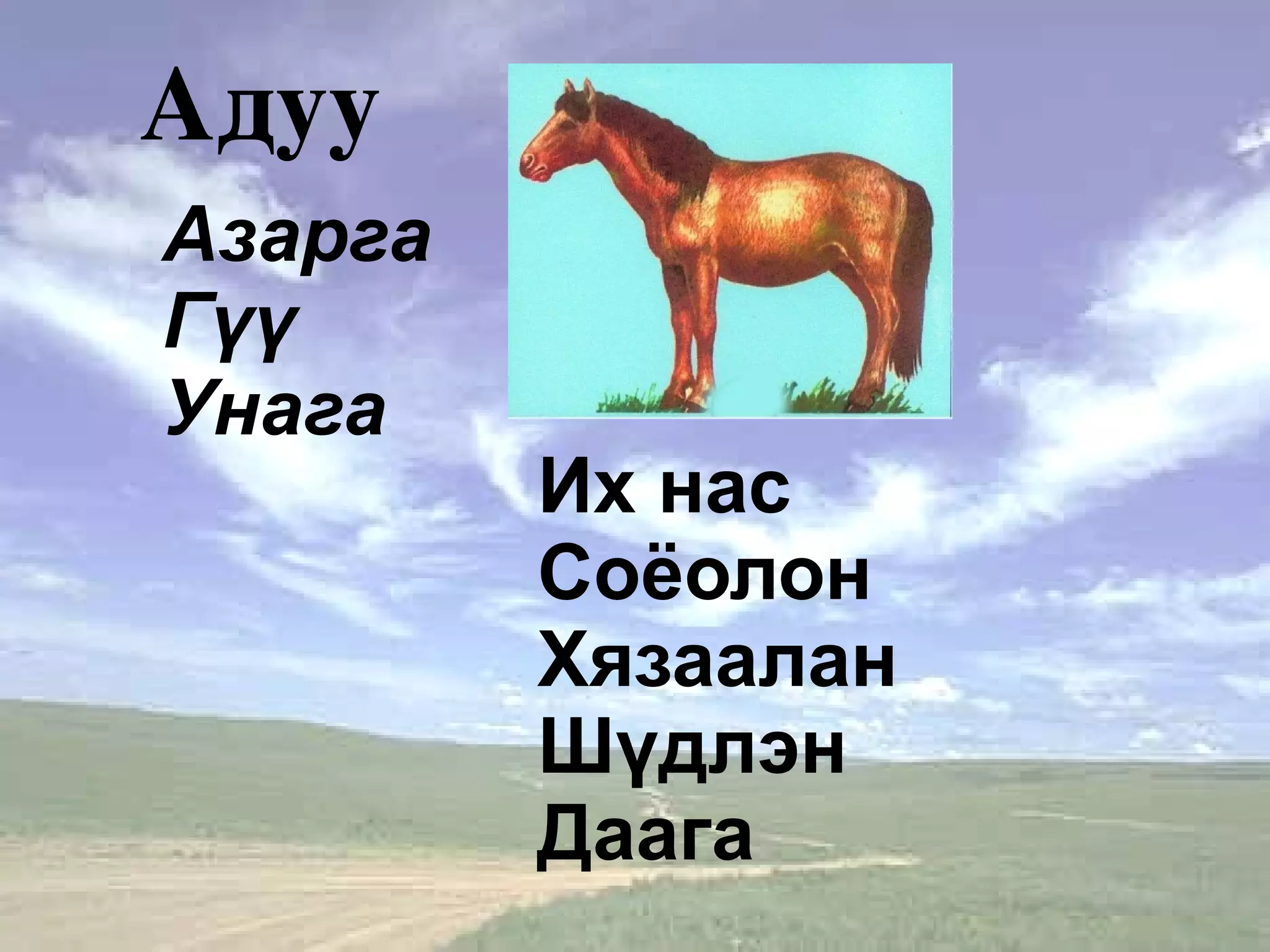 Mongol hel 3 angi tsahim hicheel | PPT