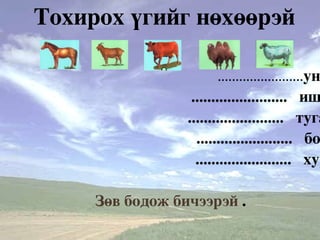 Mongol hel 3 angi tsahim hicheel | ODP