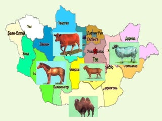 Mongol hel 3 angi tsahim hicheel | ODP