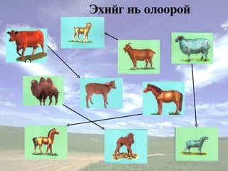 Mongol hel 3 angi tsahim hicheel | ODP