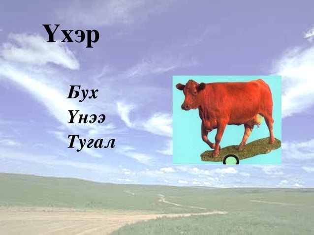 Mongol hel 3 angi tsahim hicheel | PPT