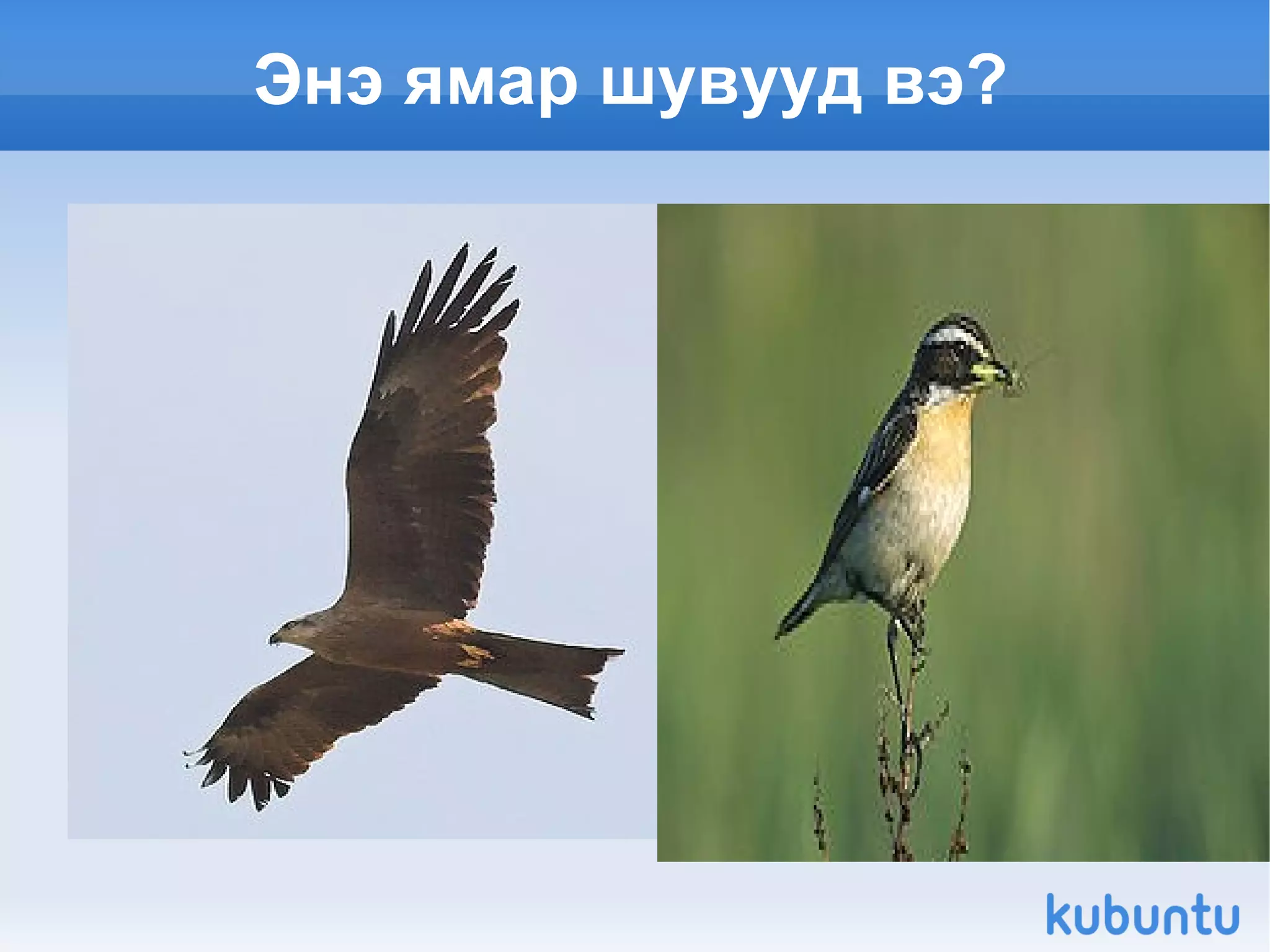 Mongol helnii hicheel 7r angi hicheel 4(1) | ODP