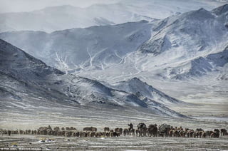Mongolian Nomads' Spring Migration-Photographer Timothy Allen | PPSX