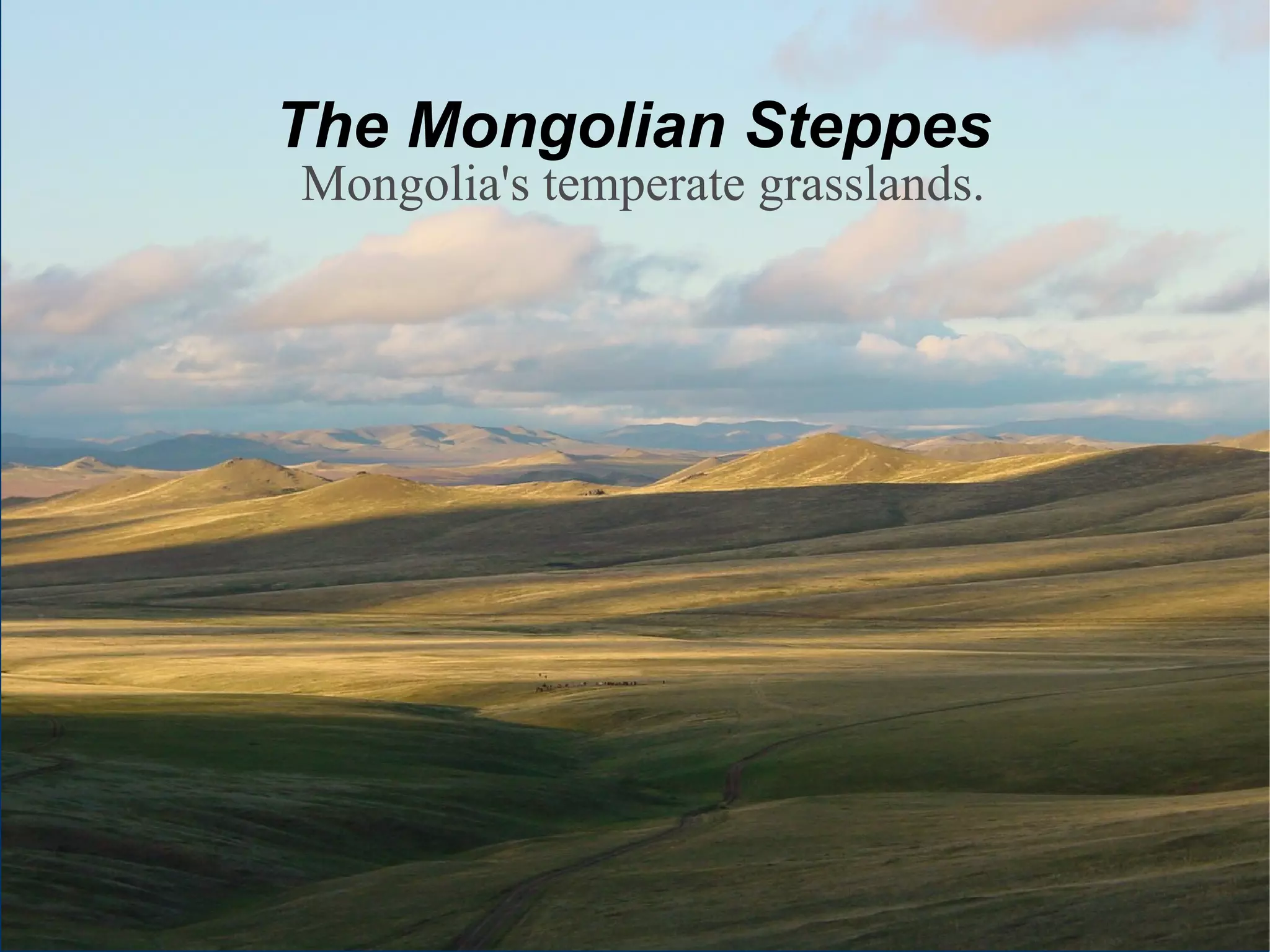 Mongolia presentation | ODP