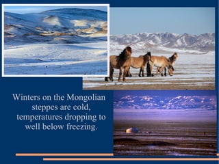 Mongolia presentation | ODP