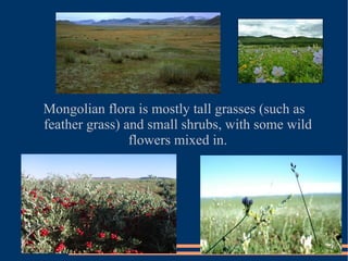 Mongolia presentation | ODP