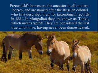 Mongolia presentation | ODP