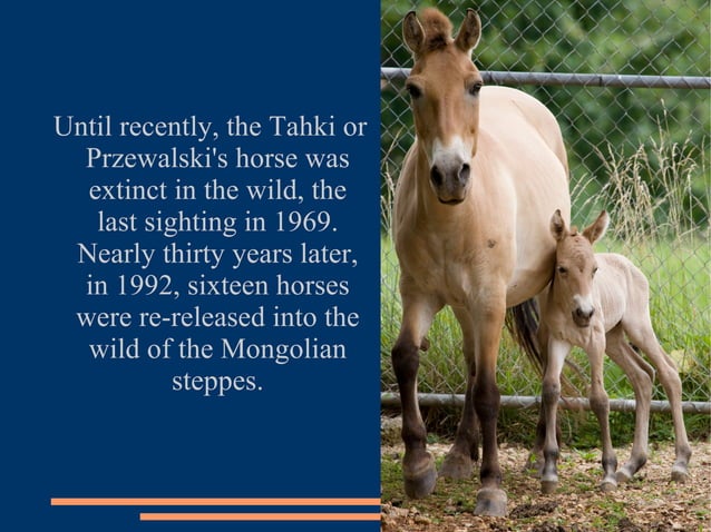 Mongolia presentation | ODP