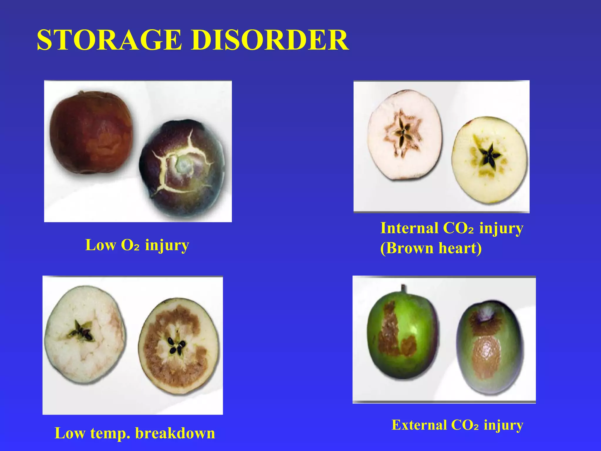 Controlled atmosphere and modified atmosphere storage | PPT