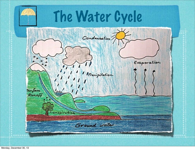 Water Project for Grade 3: Water Cycle, Water Waste, Conservation. | PPT