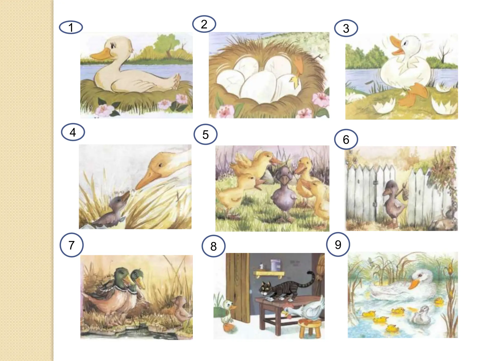 About sequencing an event and its meaning | PPTX