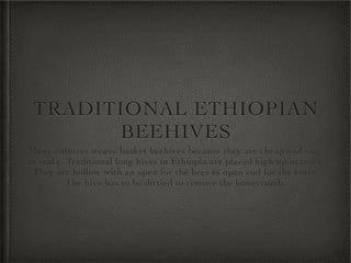 Monica's beehives .key