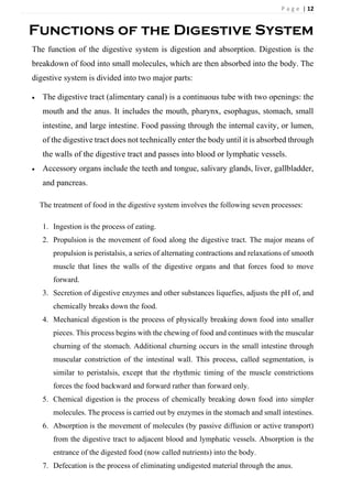 digestive system | PDF