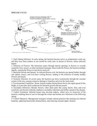 Fire blight of apple; one of the viral plant bacterial disease | PDF