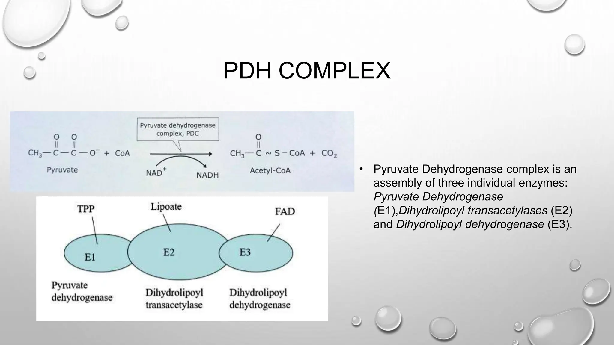 Pyruvate Dehydrogenase Complex And Its Significance Pptx