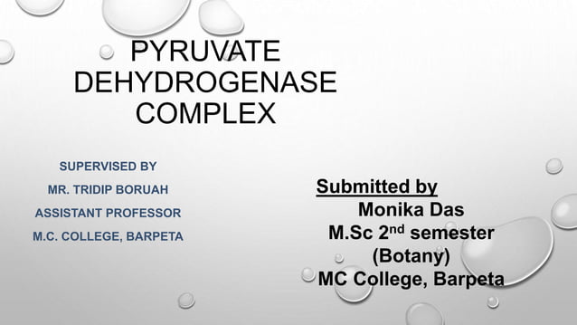 Pyruvate Dehydrogenase complex and its significance | PPTX | Chemistry ...