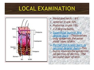 a case study on burn injury / case presentation on burn injury | PPTX