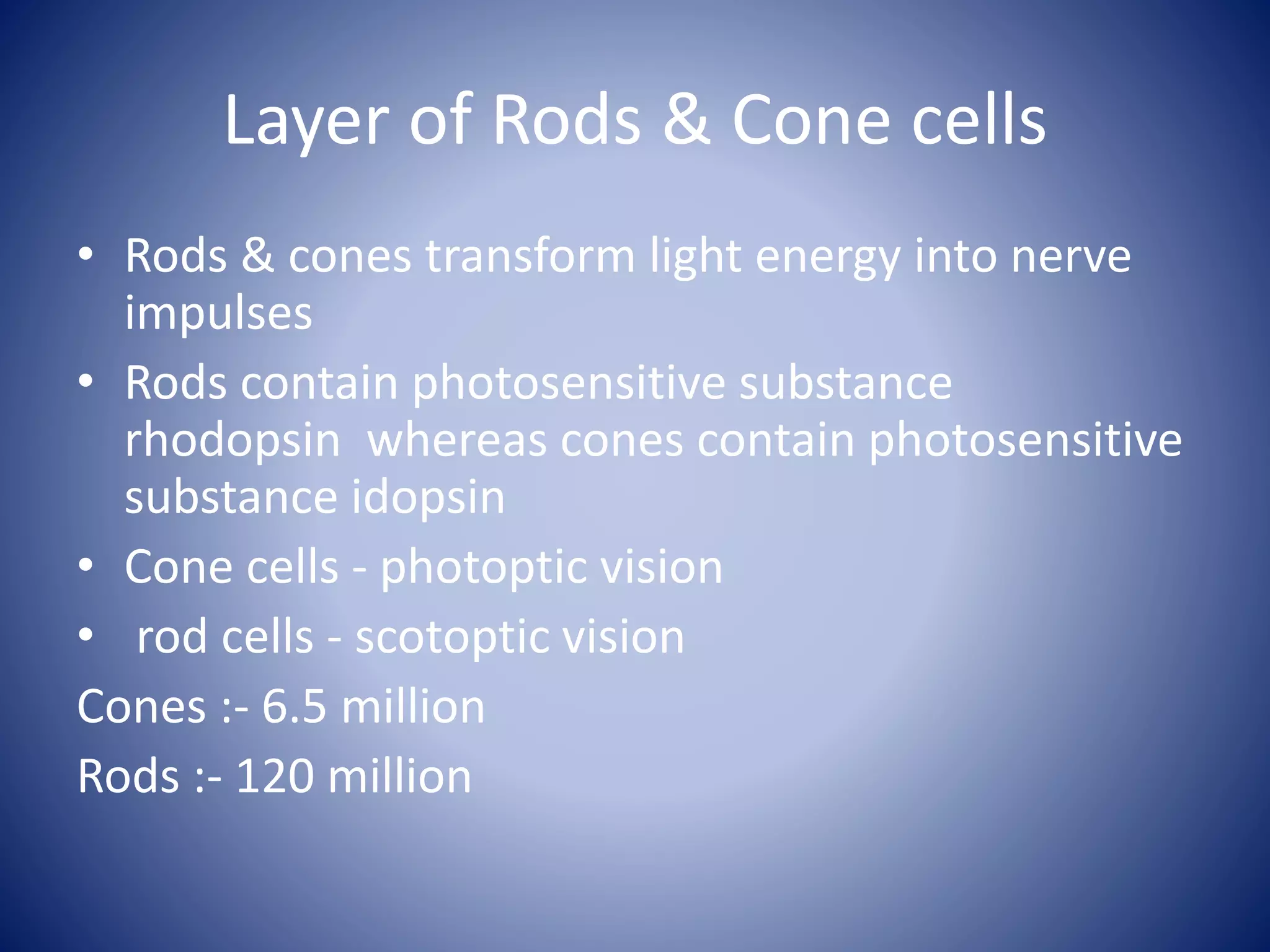 RETINA - anatomy & physiology | PPTX