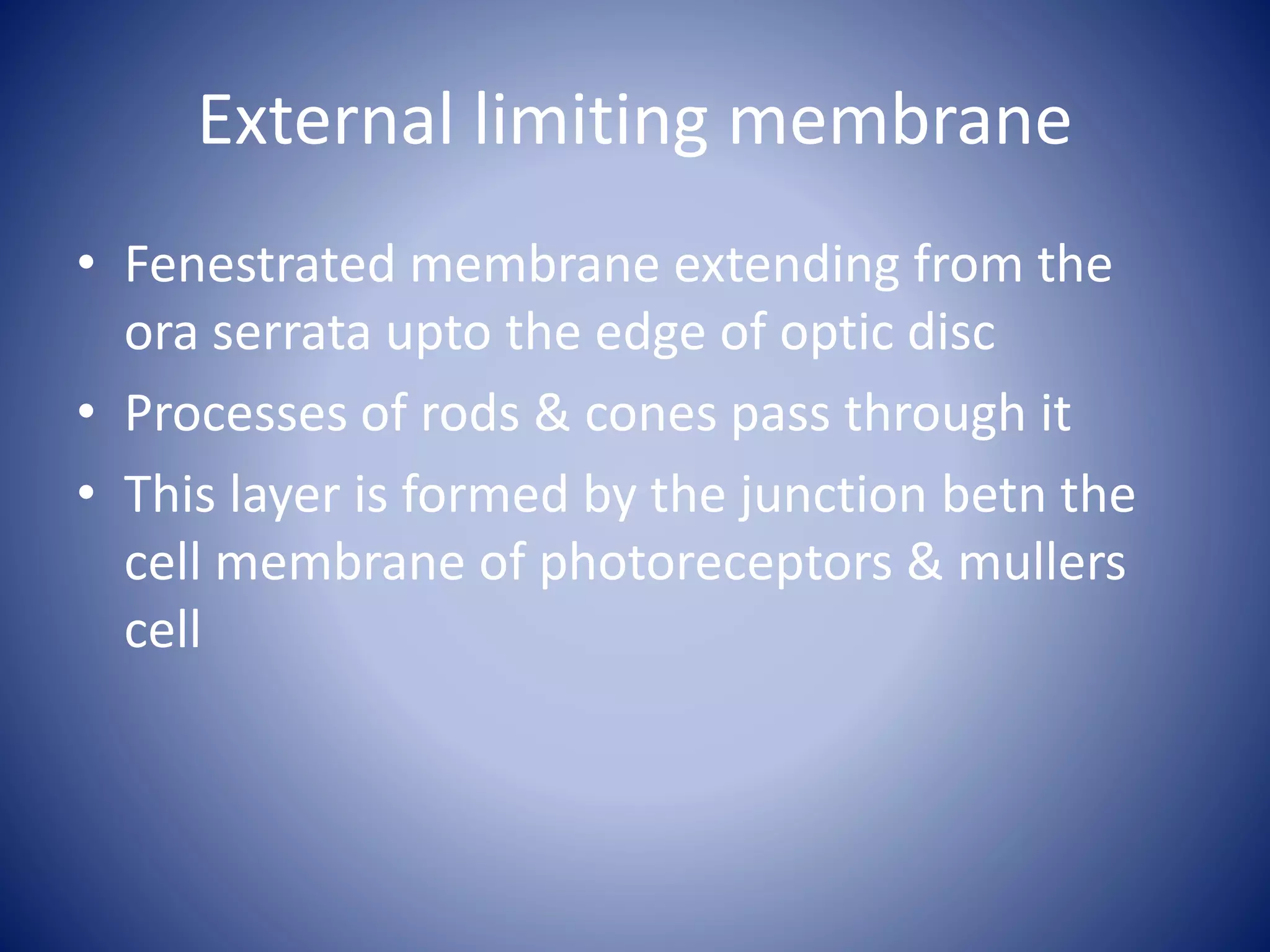 RETINA - anatomy & physiology | PPTX