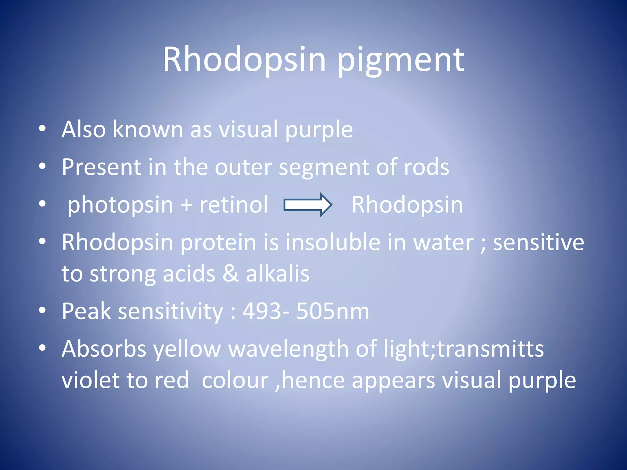 RETINA - anatomy & physiology | PPTX