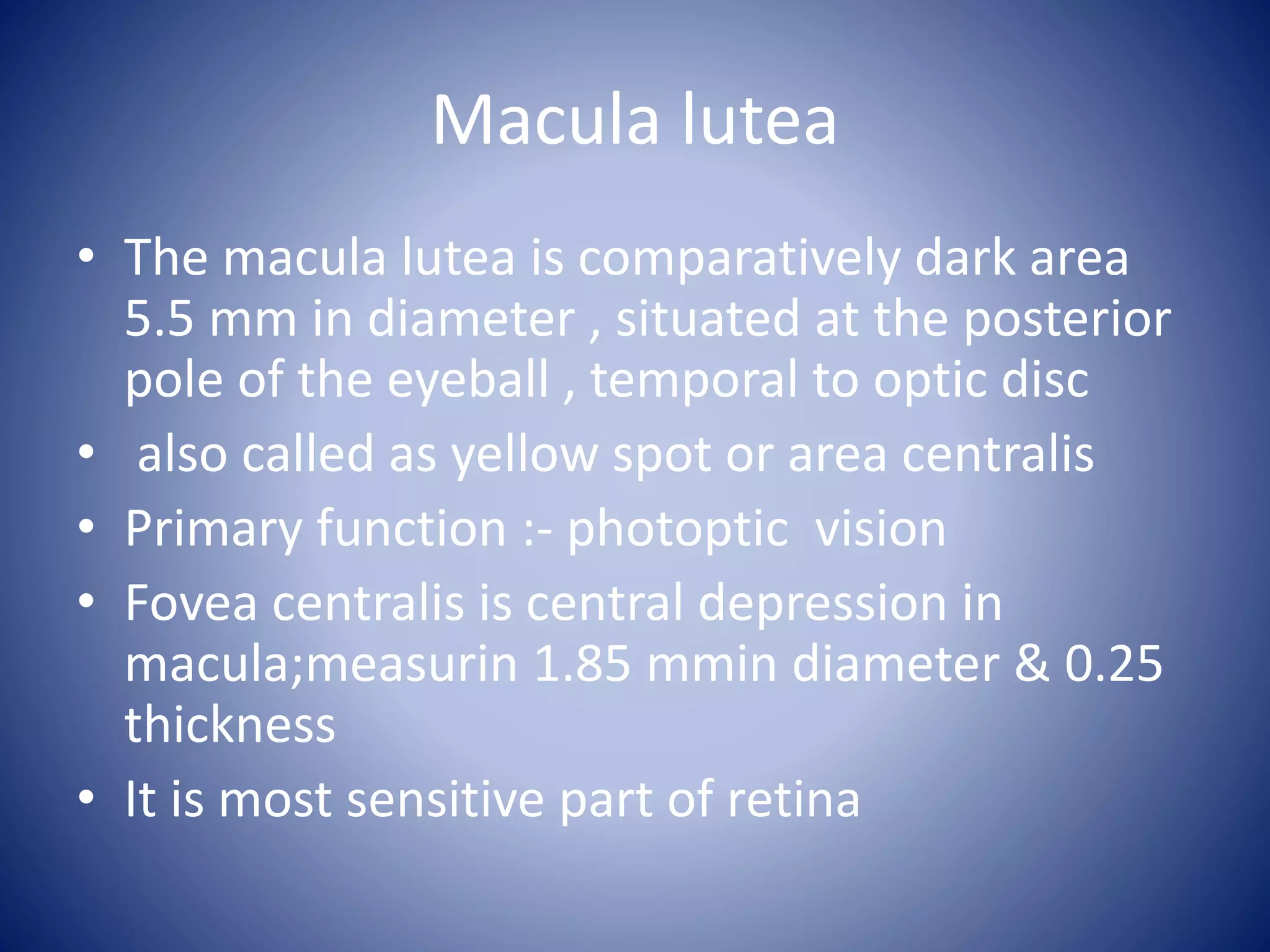 RETINA - anatomy & physiology | PPTX