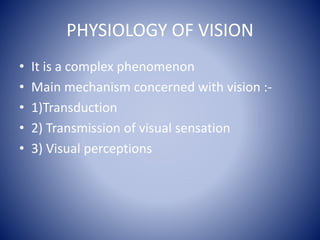 RETINA - anatomy & physiology | PPTX