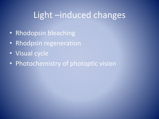 RETINA - anatomy & physiology | PPTX